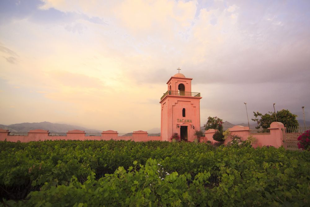 Tacama: experiencias enológicas y bodegas añejas a un pasito de Lima ...