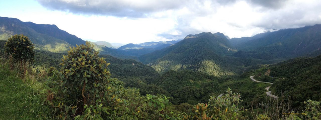 Bosque de Protección Altomayo: se buscan voluntarios - Rumbos de Sol ...