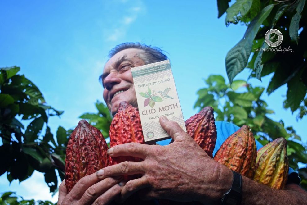 Cacao de Oxapampa: Perla de los bosques - Rumbos de Sol & Piedra