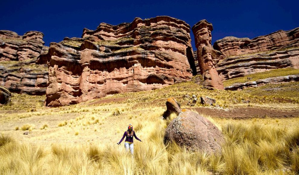 Naturaleza pétrea: el encanto de los maravillosos bosques de piedra del ...