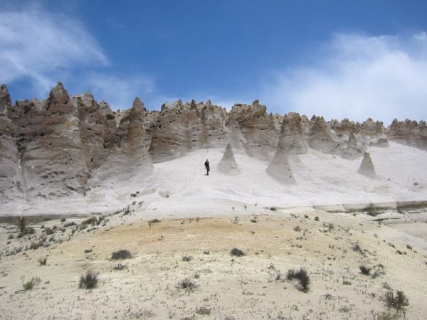 Naturaleza pétrea: el encanto de los maravillosos bosques de piedra del ...