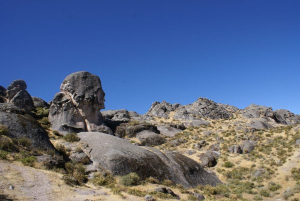 Naturaleza pétrea: el encanto de los maravillosos bosques de piedra del ...