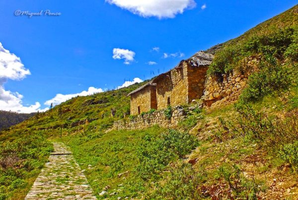 Tarma: el verdadero paraíso de las flores | FOTOS - Rumbos de Sol & Piedra