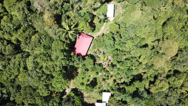 Guia de usos y disfrute del Bosque de Protección Alto Mayo - Rumbos de ...