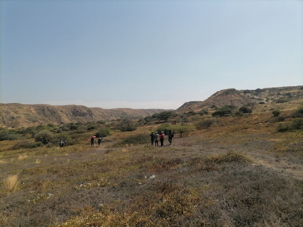 Talara: Quebrada Yale, diamante en bruto - Rumbos de Sol & Piedra